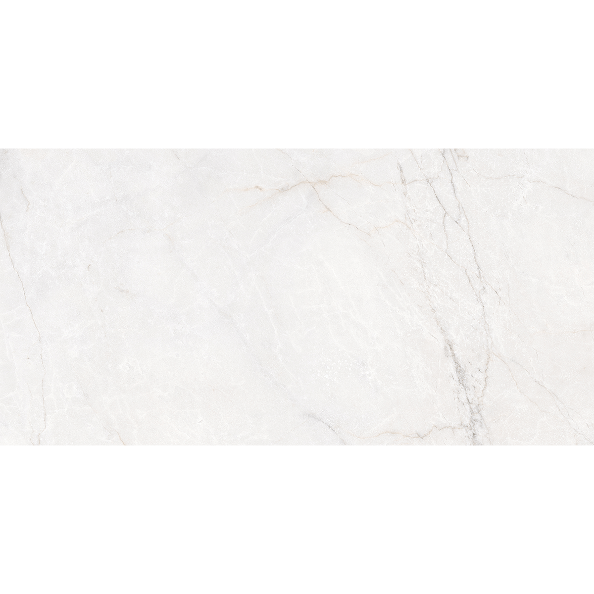 Class Bianco Matte 60x120cm – Mazzanna Tiles