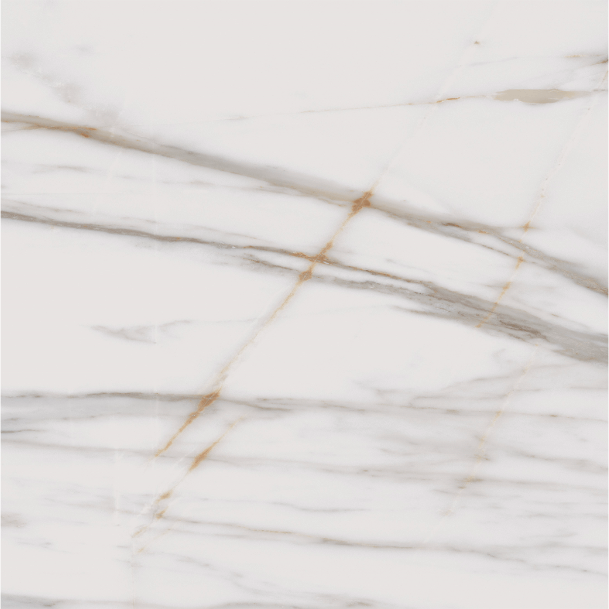 Venato Gold Polished 80x80cm – Mazzanna Tiles
